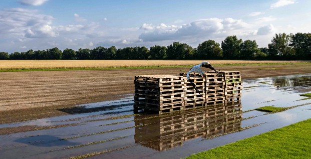 Pāreja no kodu kartēm uz digitālu autentifikāciju un kodu kalkulatoriem ...